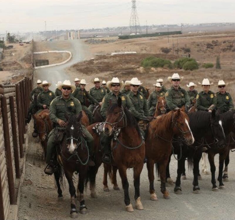 NEW COLUMN: ‘Whip Or Rein’ Was Never The Question | BarelyABlog